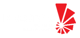 IDAA Student Program 2024 | Independent Directors Association Africa